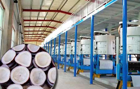 Machine d'extraction d'huile de coprah/Ligne de production d'extraction ...